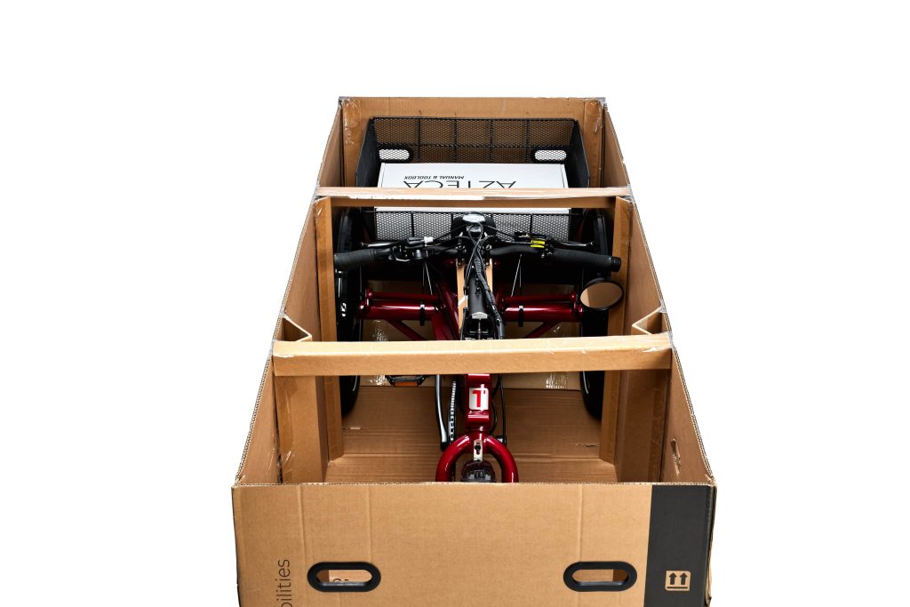 e-Fat Azteca Black Electric Tricycle -14 AH Battery | ZIZE Bikes