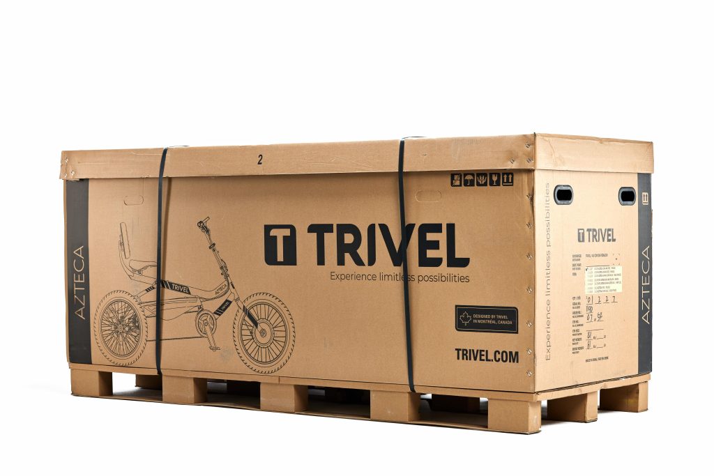 e-Fat Azteca Black Electric Tricycle -14 AH Battery | ZIZE Bikes