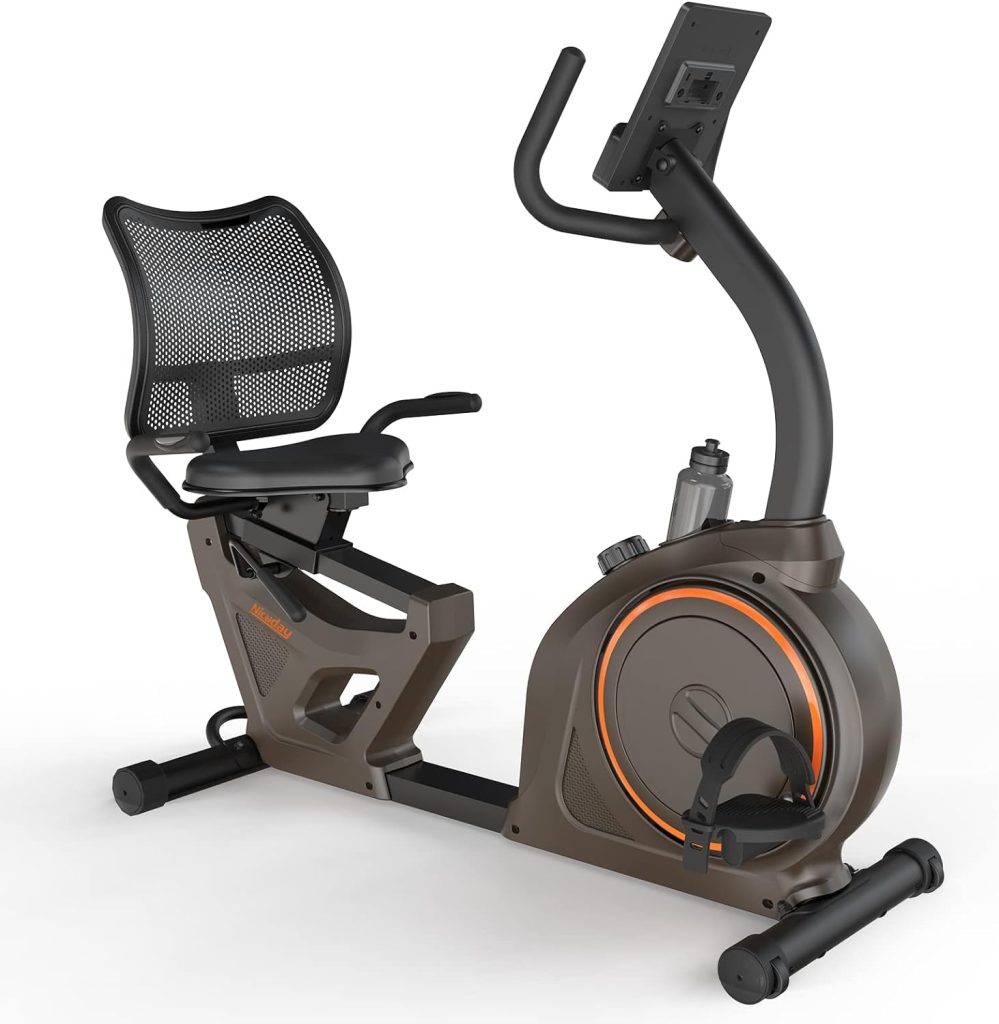 Niceday Indoor Recumbent Exercise Bike Workout Equipment for Home Gym ...