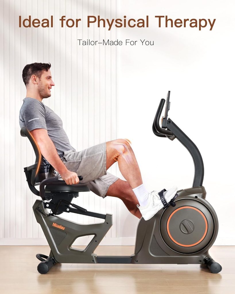 Niceday Indoor Recumbent Exercise Bike Workout Equipment for Home Gym ...